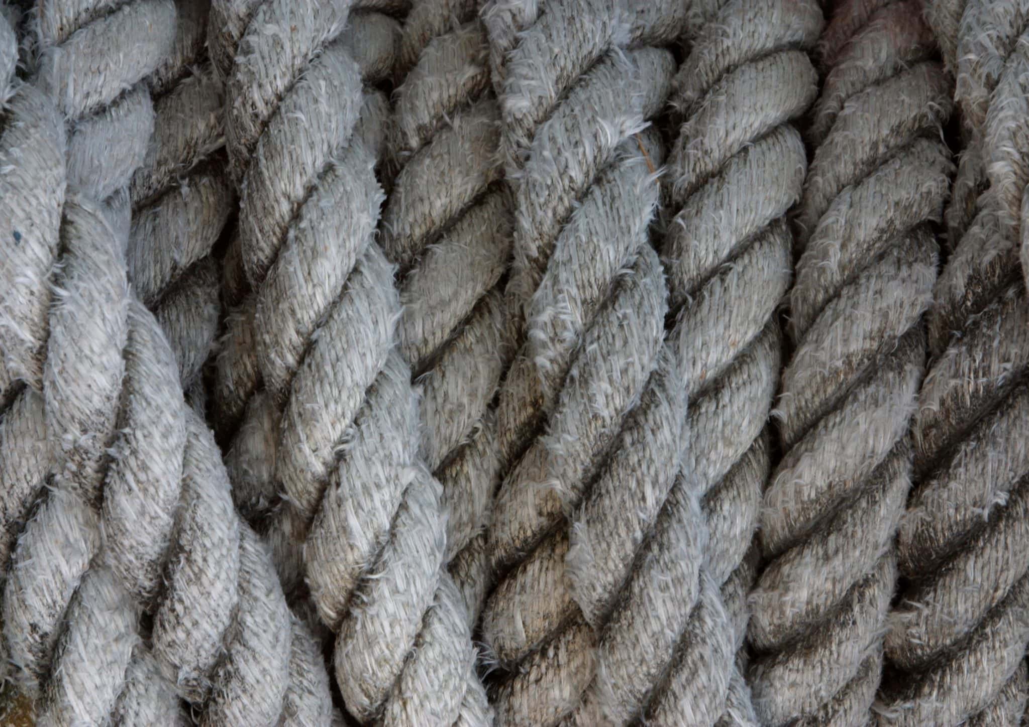 Bulgarsk utfall: Muskler, teknikk og utførelse | GetFitness